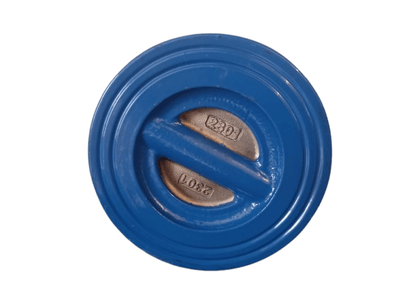 non-return valve prices in Bangladesh - Firesolven